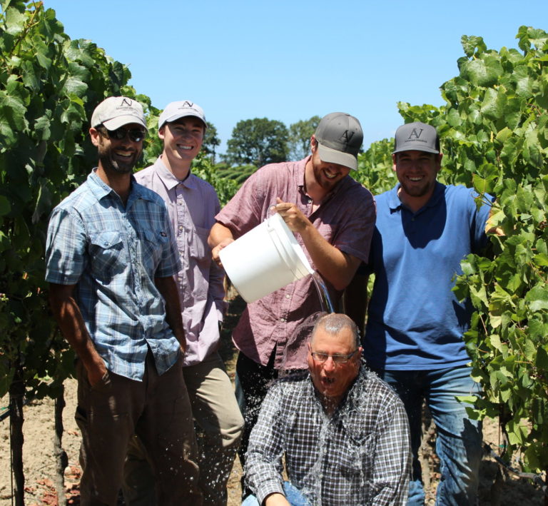 Rootstock: the biggest mistake you can make in your vineyard | Advanced ...