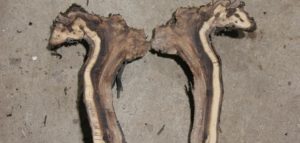 What is sap flow pruning and how can I apply it in my vineyard ...