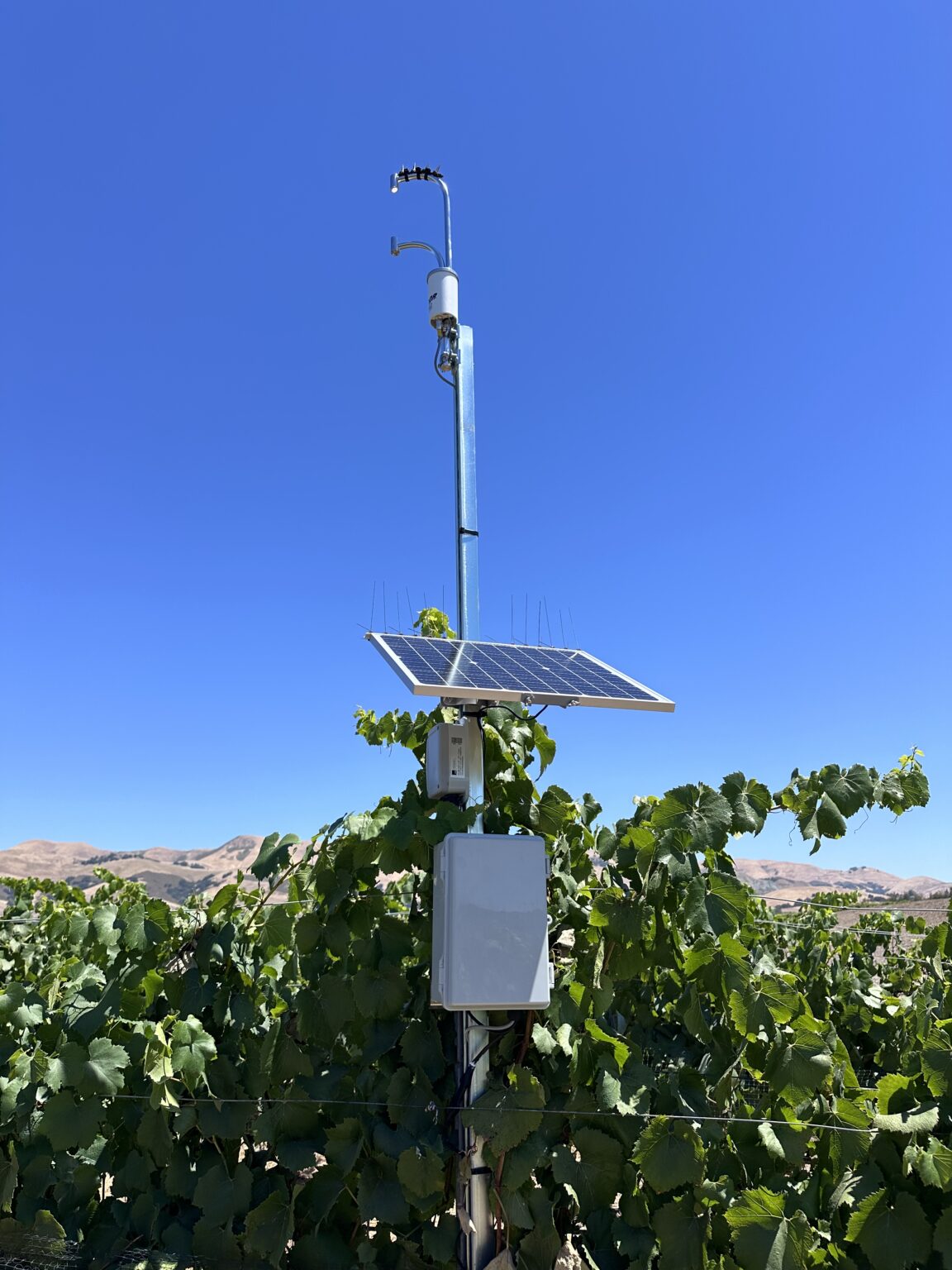 Direct Measurement Of Evapotranspiration Et Advanced Viticulture